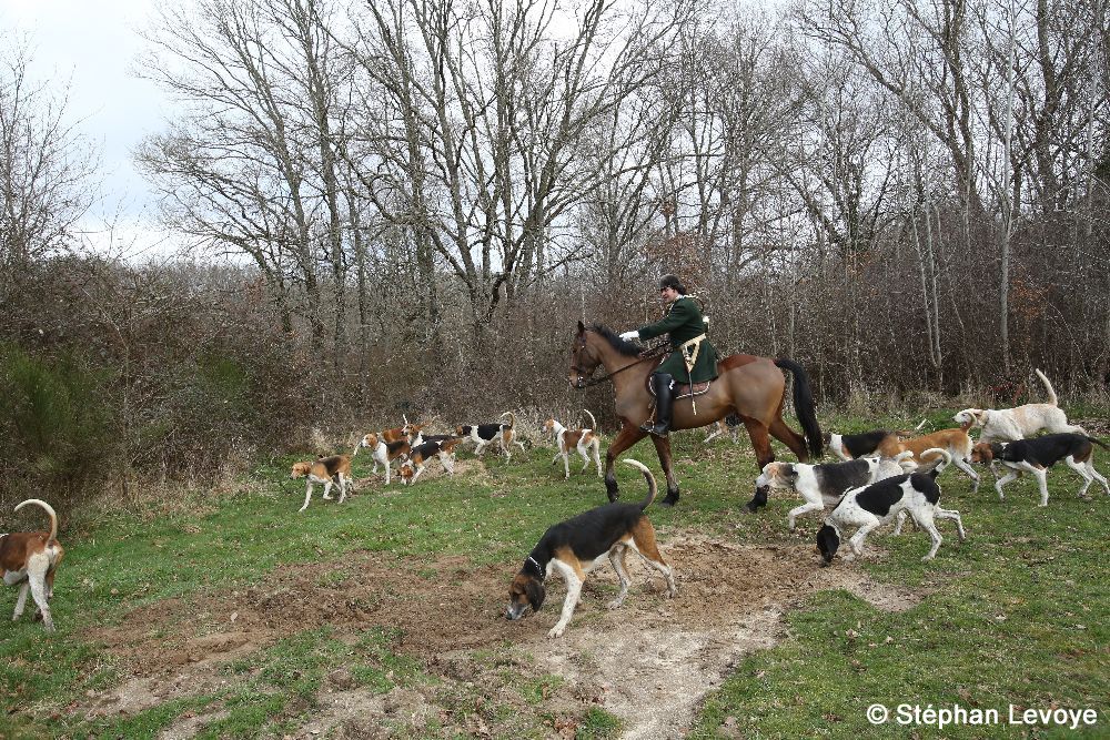 Stéphan Levoye - Photographe de la vènerie (ou chasse à courre ...