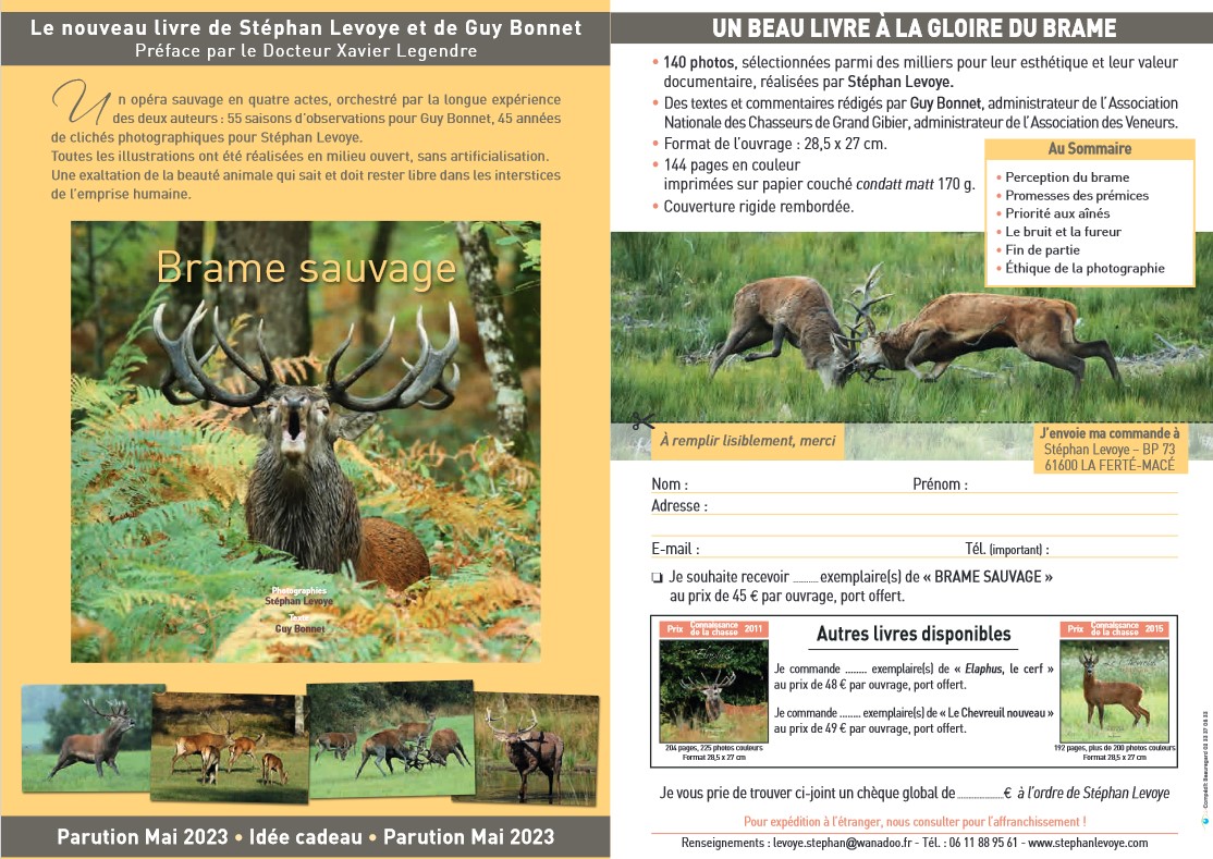 Brame sauvage - le prochain livre de Stéphan Levoye